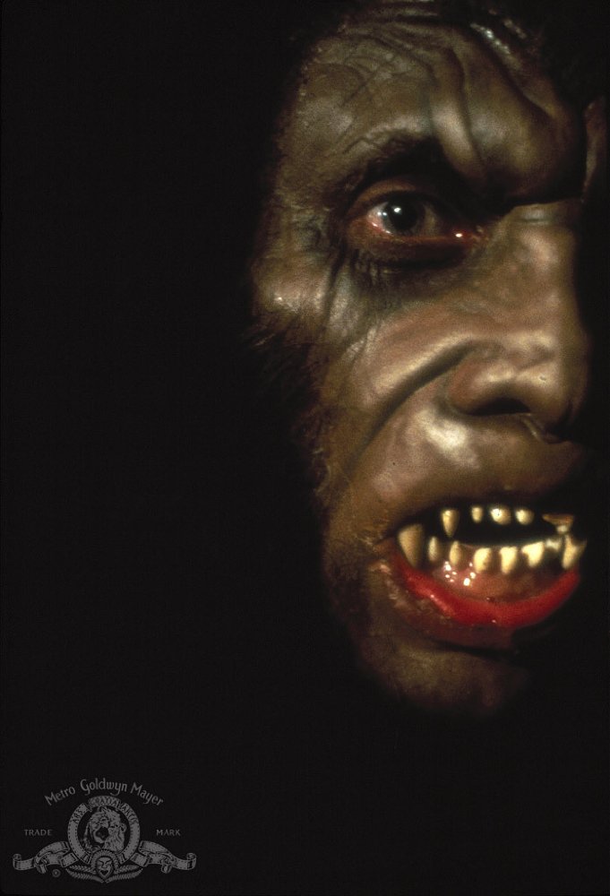 Image of Howling II: Your Sister Is a Werewolf