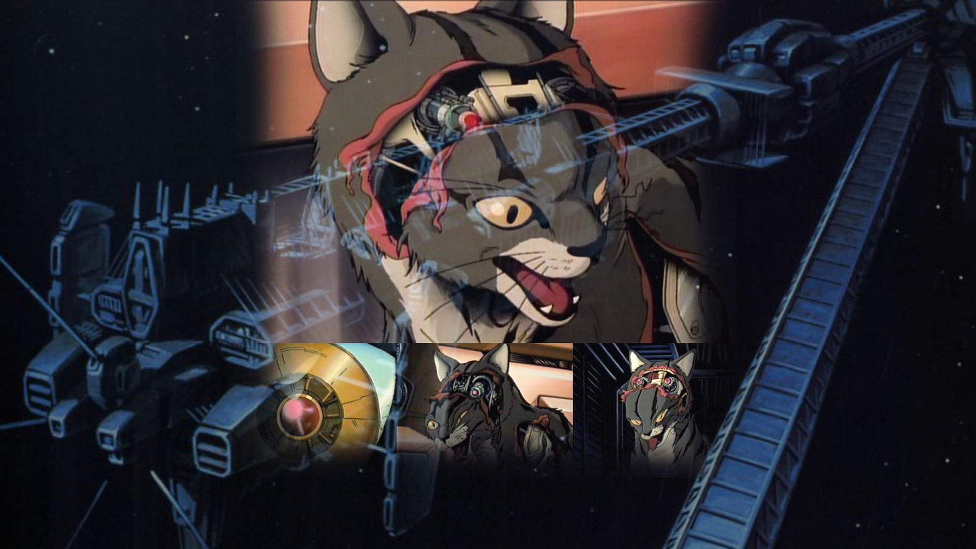 Picture of Lily C.A.T.