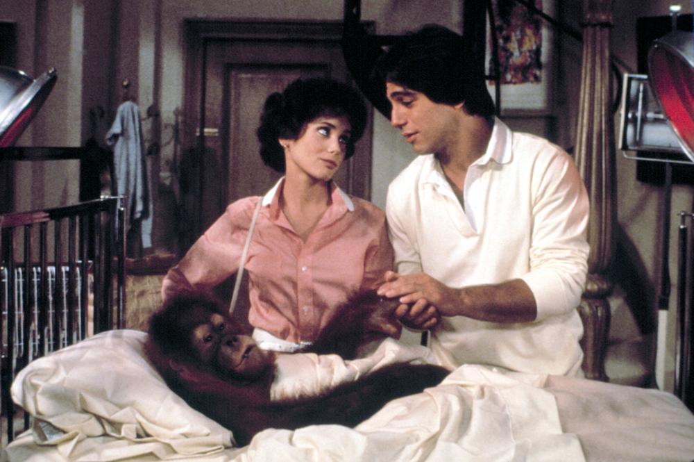 Picture of Going Ape!