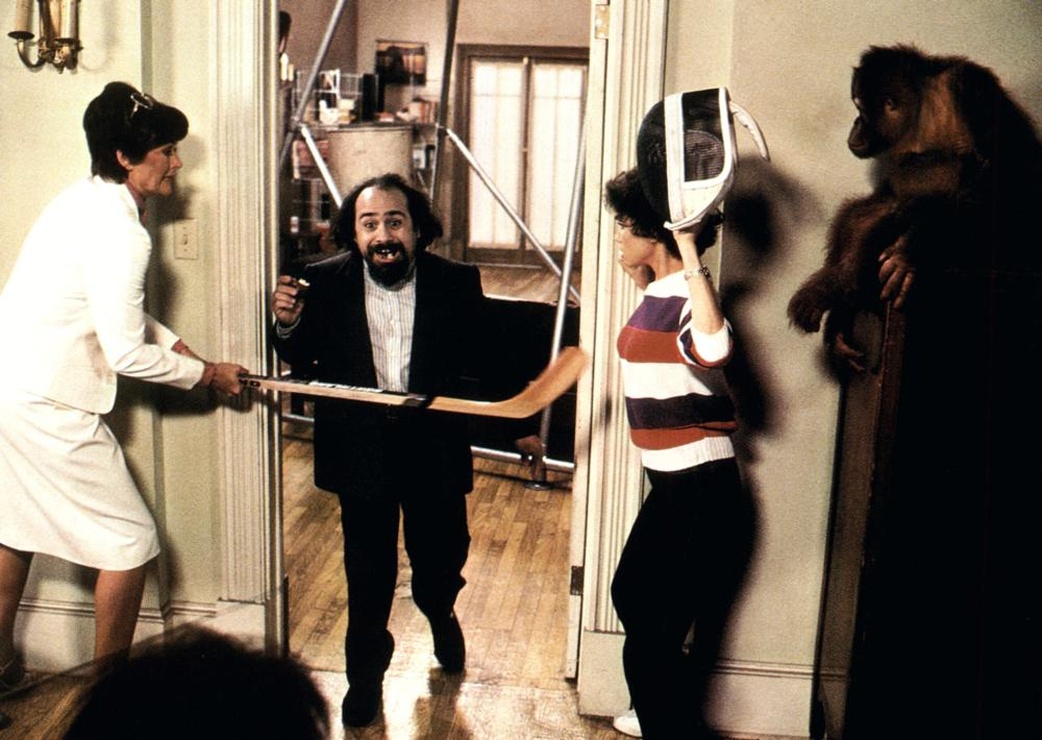 Picture of Going Ape!