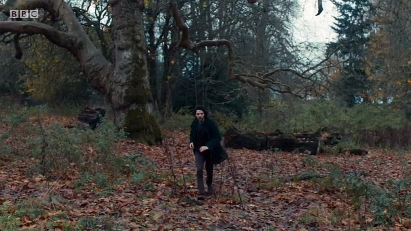 Picture of The Living and the Dead