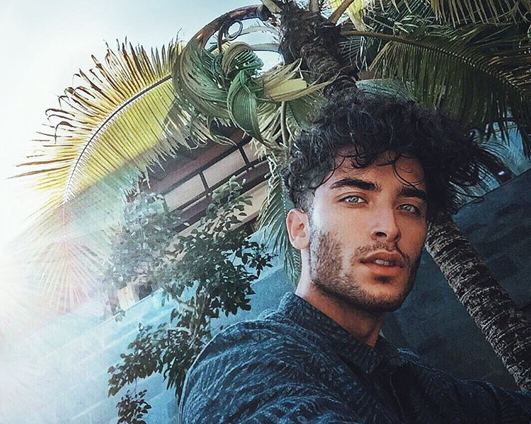 Picture of Toni Mahfud