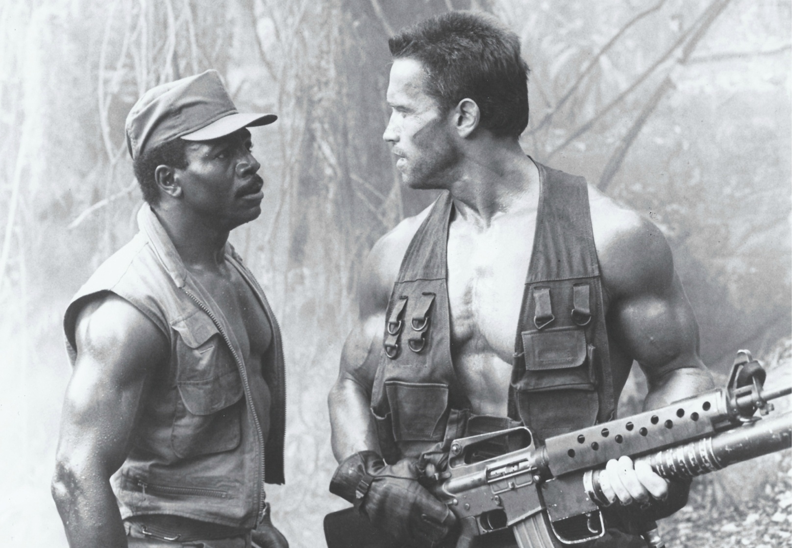 Picture of Predator