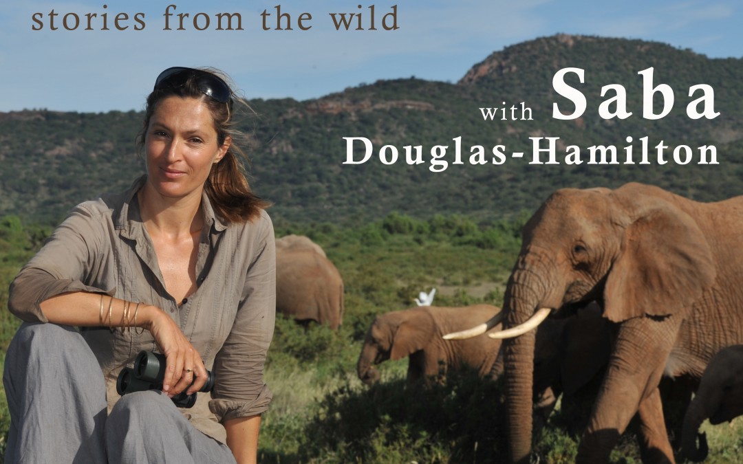 Picture of Saba Douglas-Hamilton