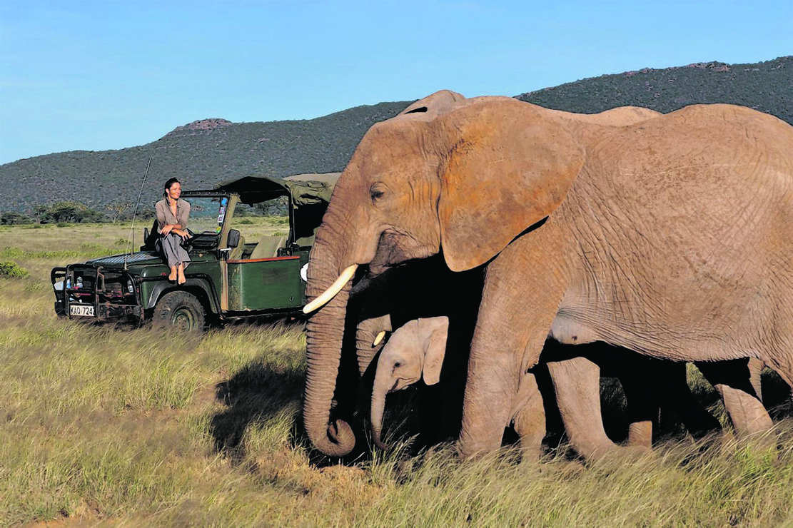 Picture of Saba Douglas-Hamilton