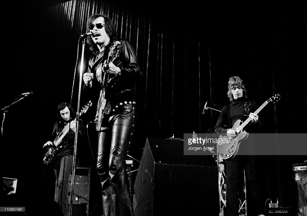 Picture of Steppenwolf