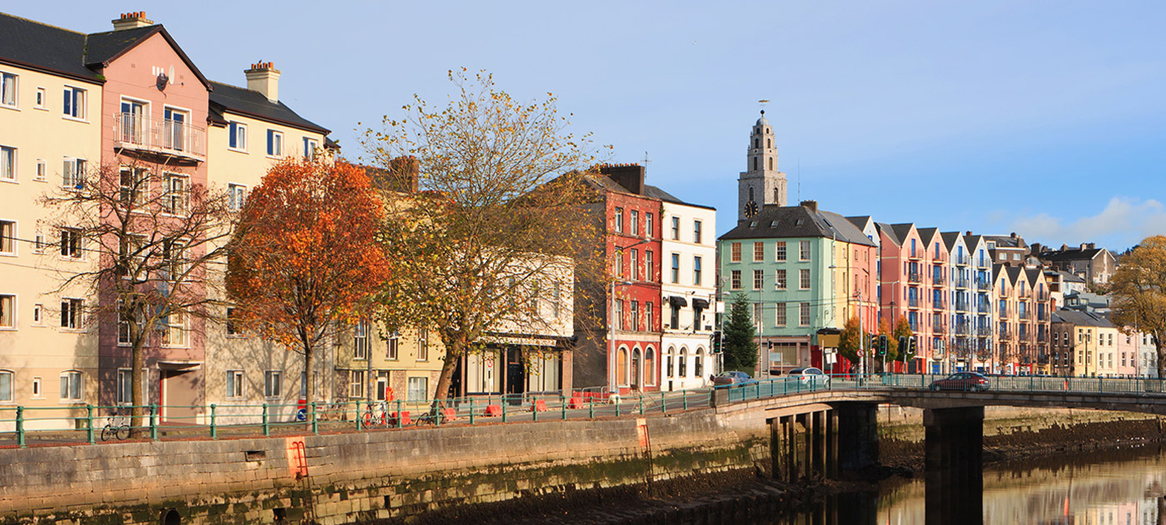 Picture of Cork