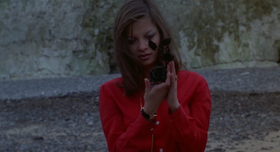 Picture of The Iron Rose