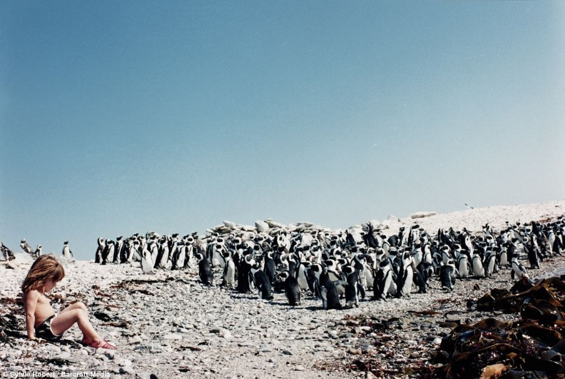 Picture of Tippi Degre