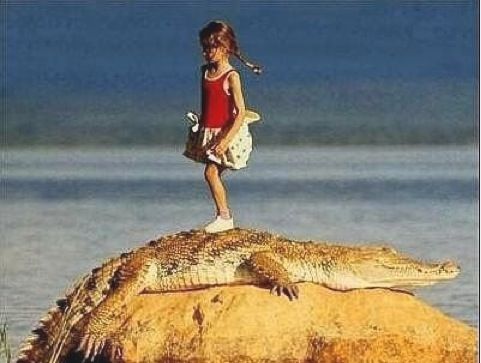 Picture of Tippi Degre