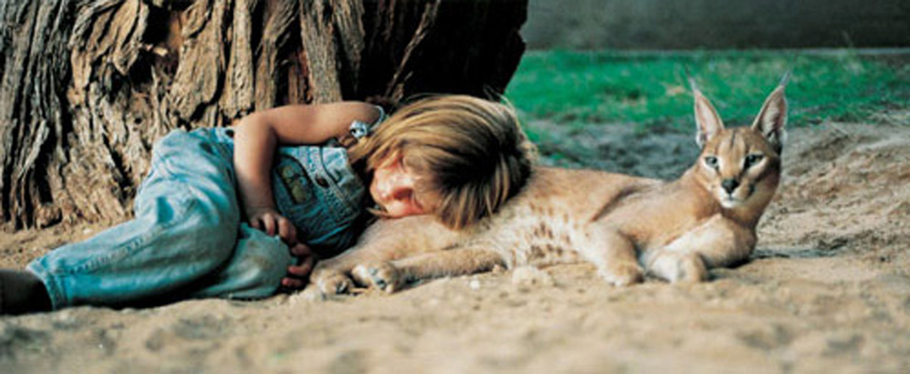 Picture of Tippi Degre