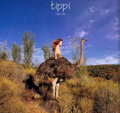 Picture of Tippi Degre