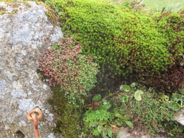 Stephen Cook with photos