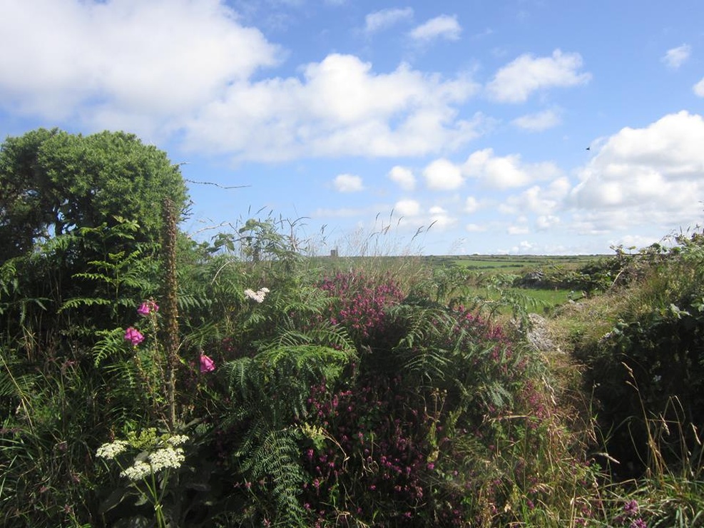 Stephen Cook with photos