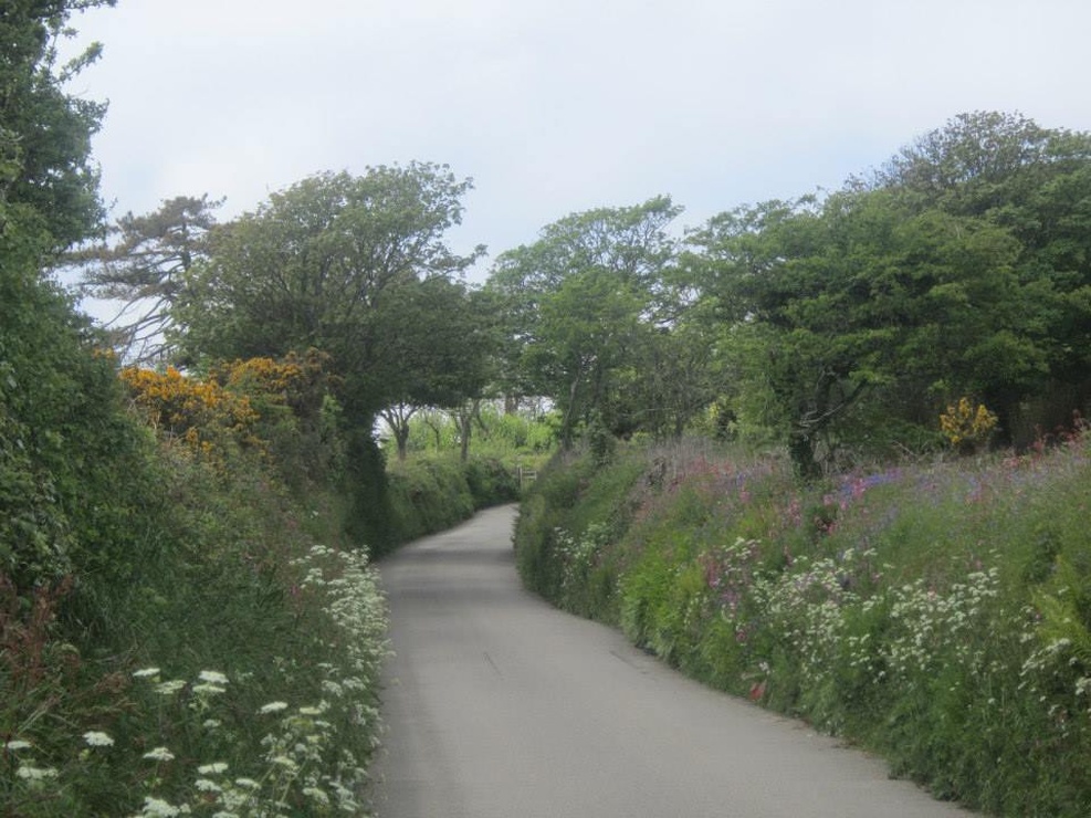 Stephen Cook with photos