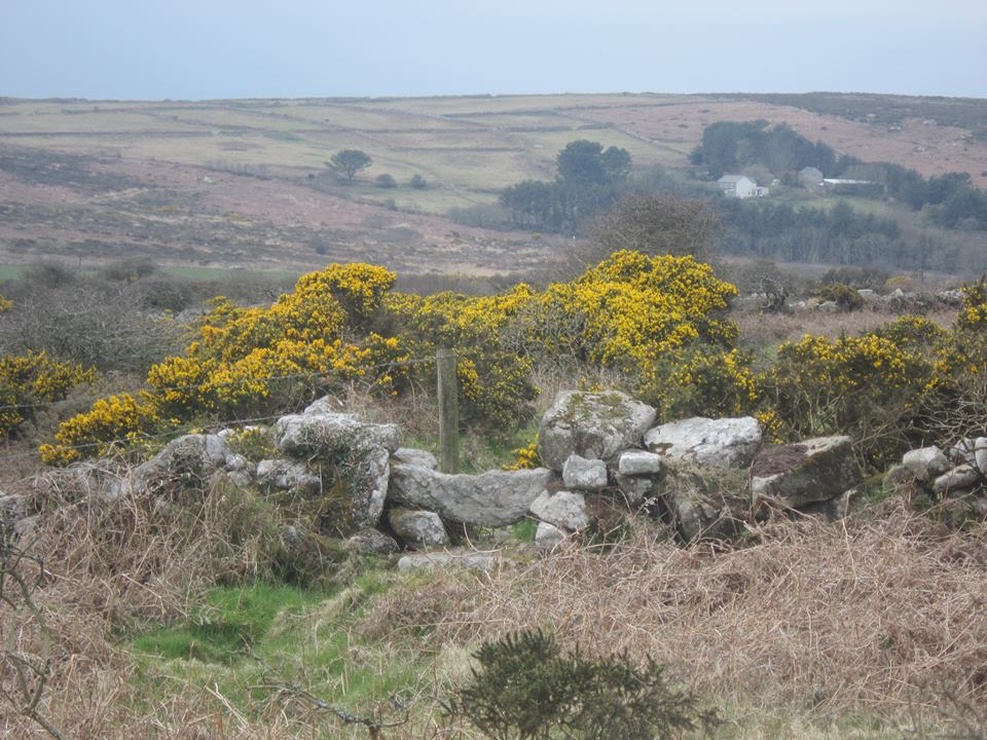 Stephen Cook with photos