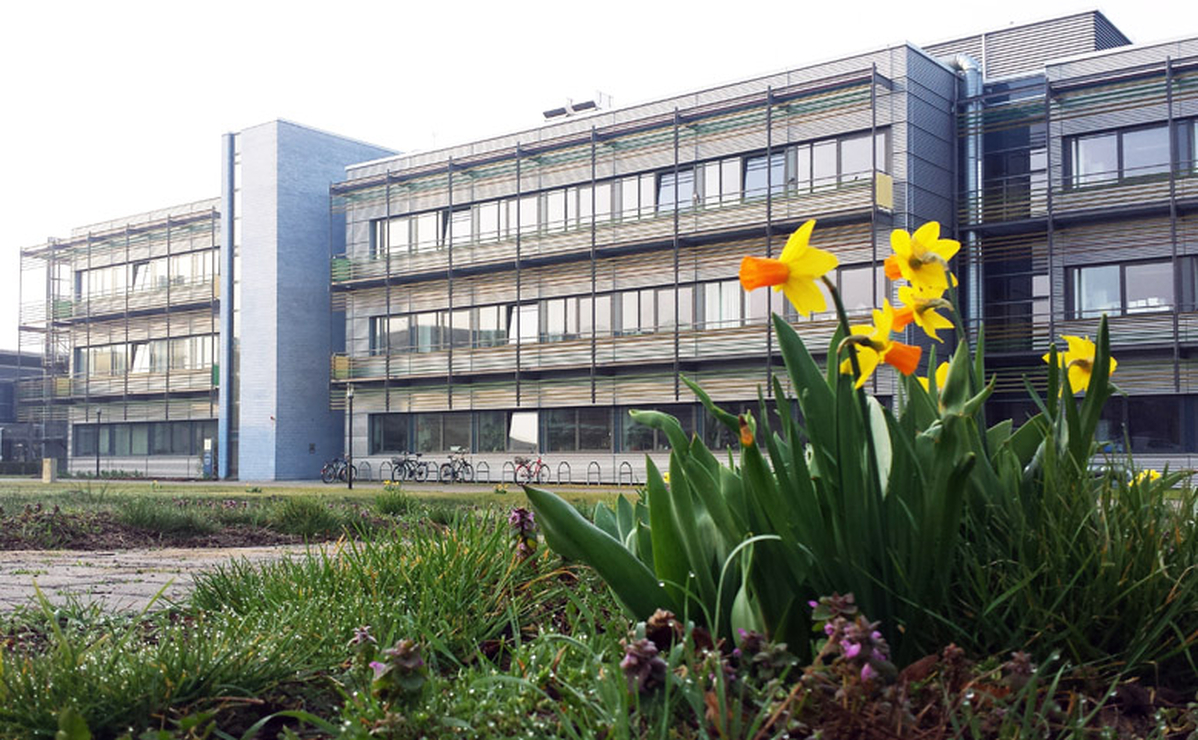 Max Planck Institute of Molecular Plant Physiology picture