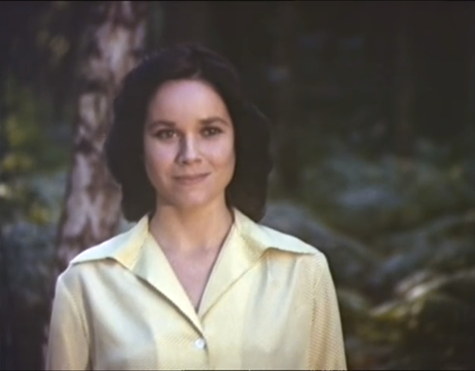 Picture of A Man Called Intrepid (1979)