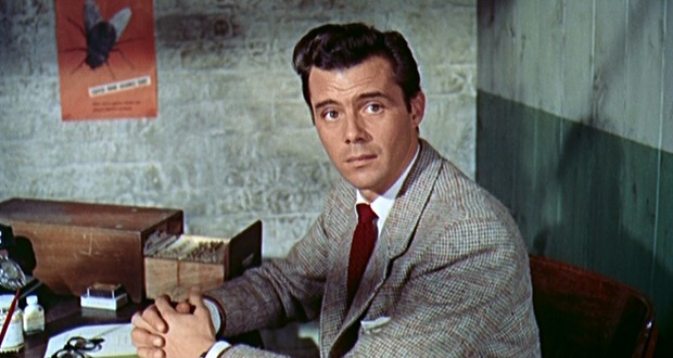 Picture of Doctor at Large (1957)