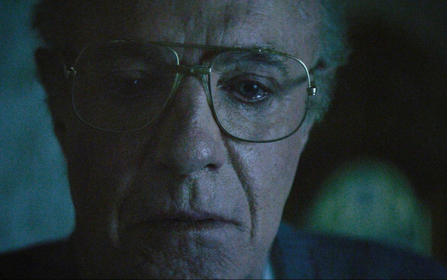 Picture of The Good Neighbor (2016)