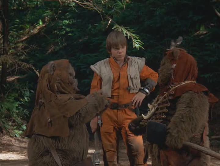 Picture of The Ewok Adventure