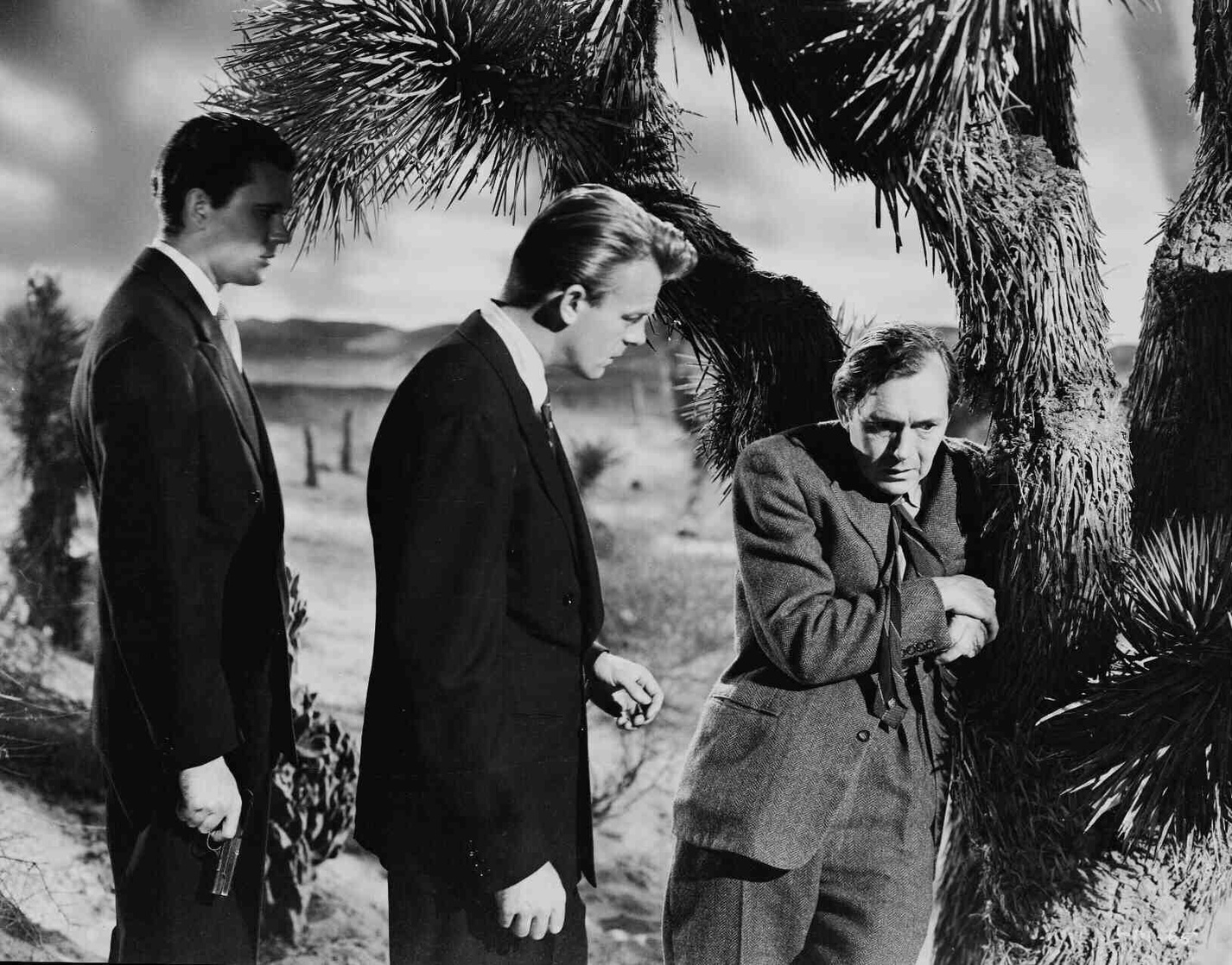 Picture of The Leopard Man