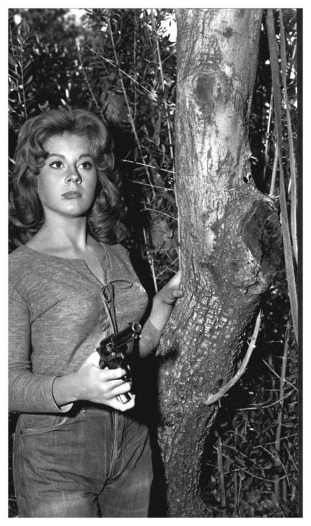 Sherry Jackson image