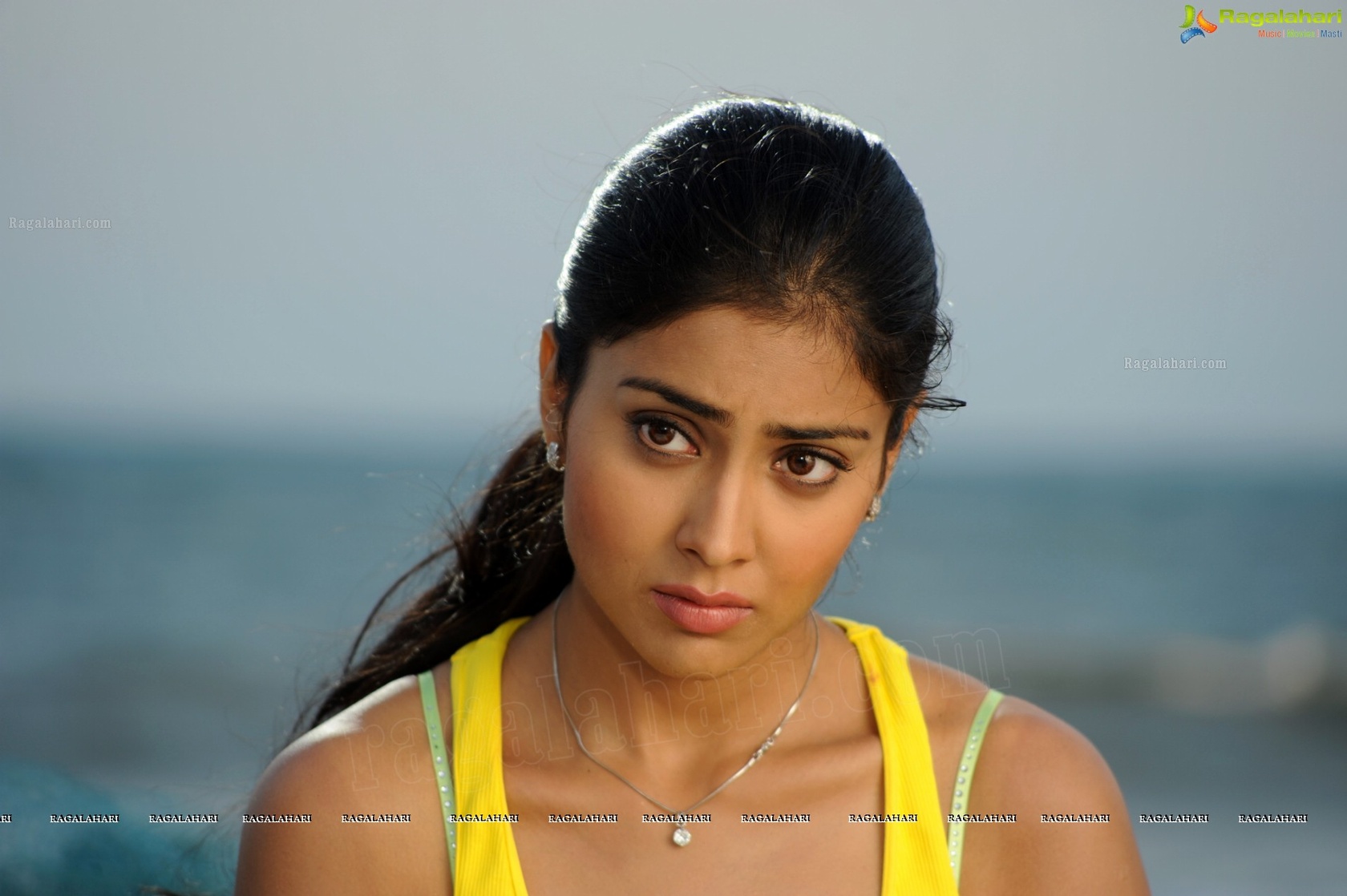 Picture of Shriya Saran