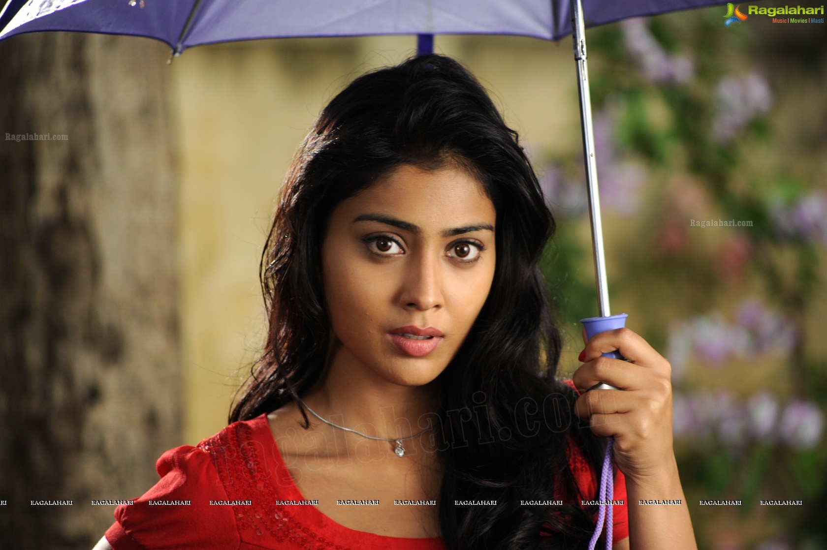 Picture of Shriya Saran