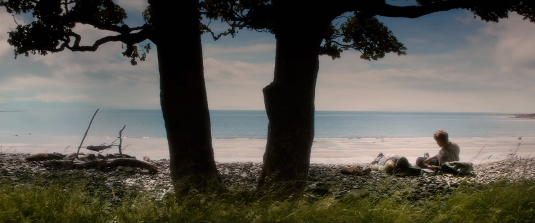 The Silent Storm picture