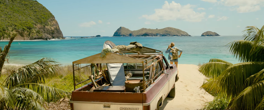 Image of The Shallows