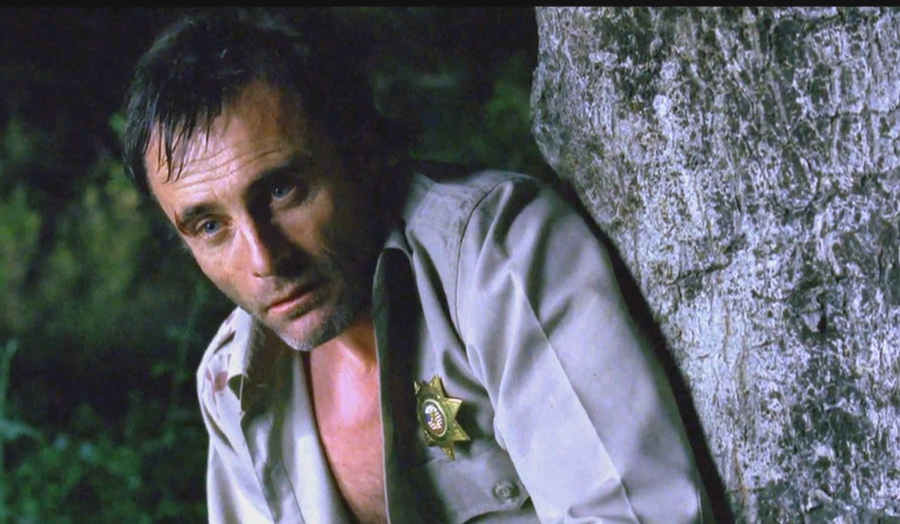 Picture of Shallow Ground