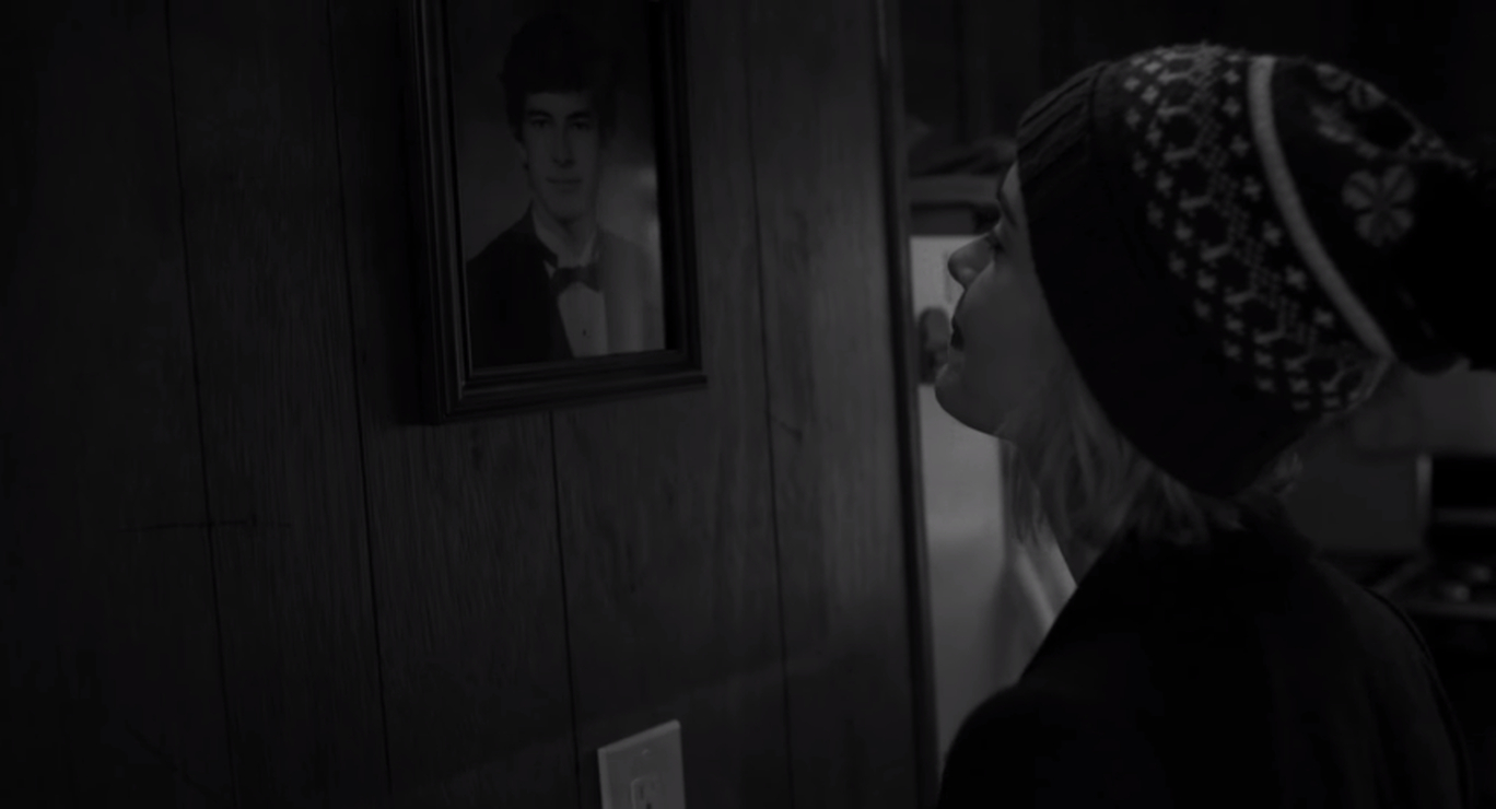 Picture of Blue Jay (2016)