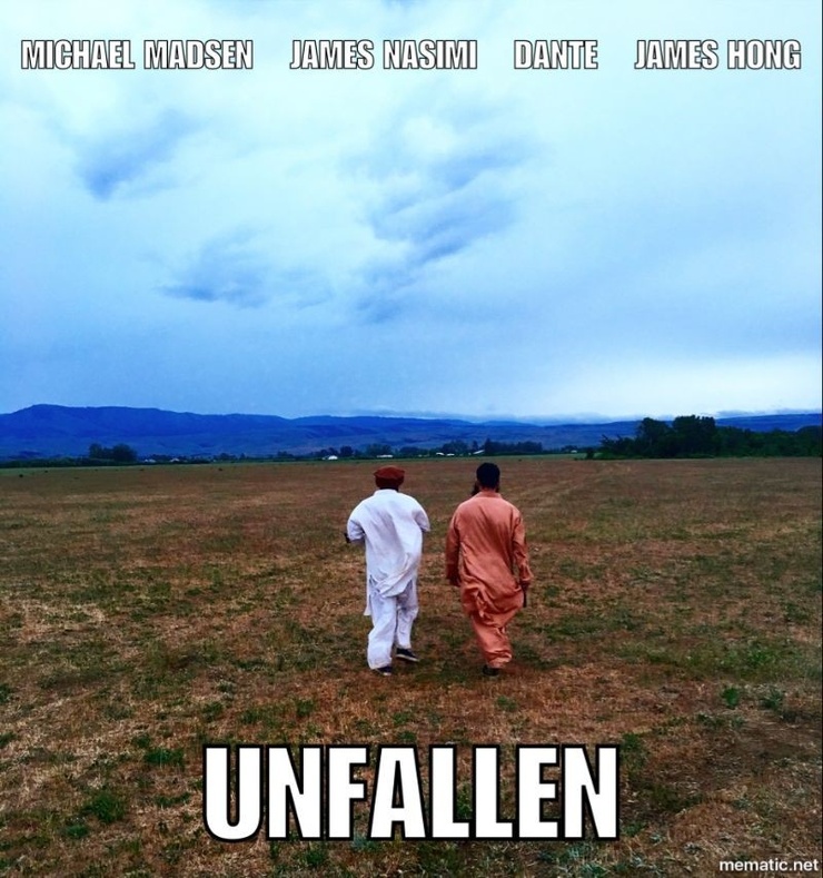 Unfallen image