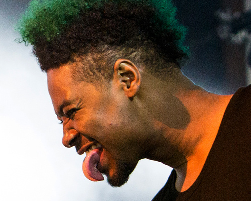 Danny Brown image