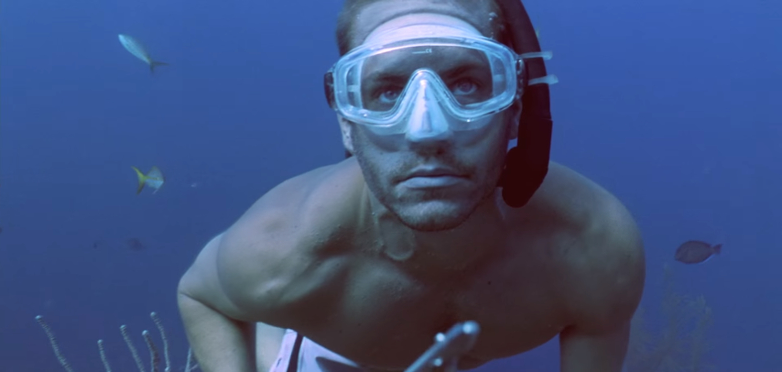 Image of Into the Blue