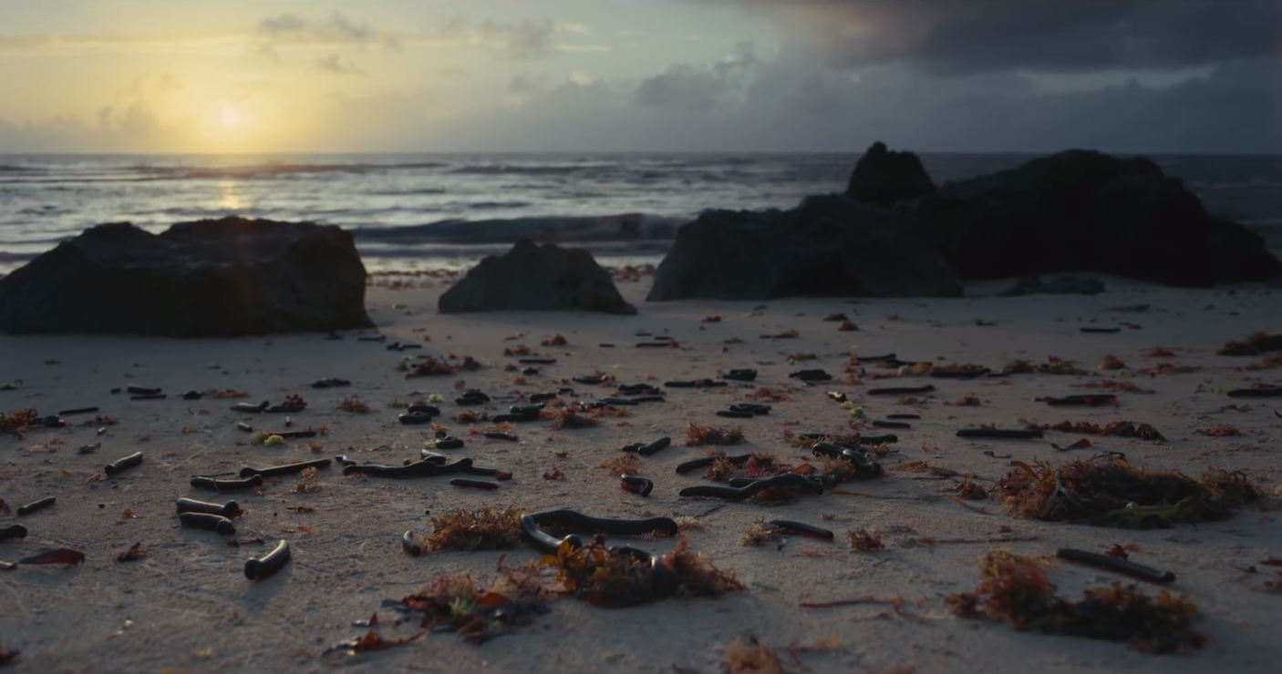 Voyage of Time: The IMAX Experience image