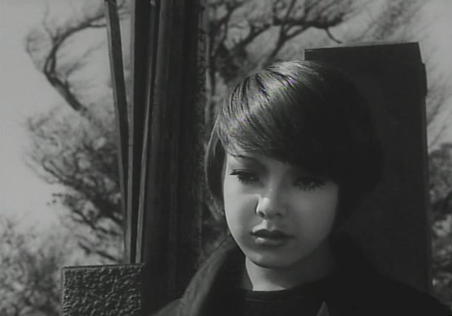 Image of Funeral Parade of Roses (1969)