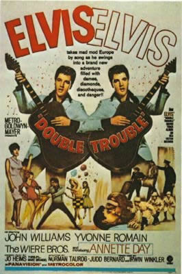 Picture of Double Trouble