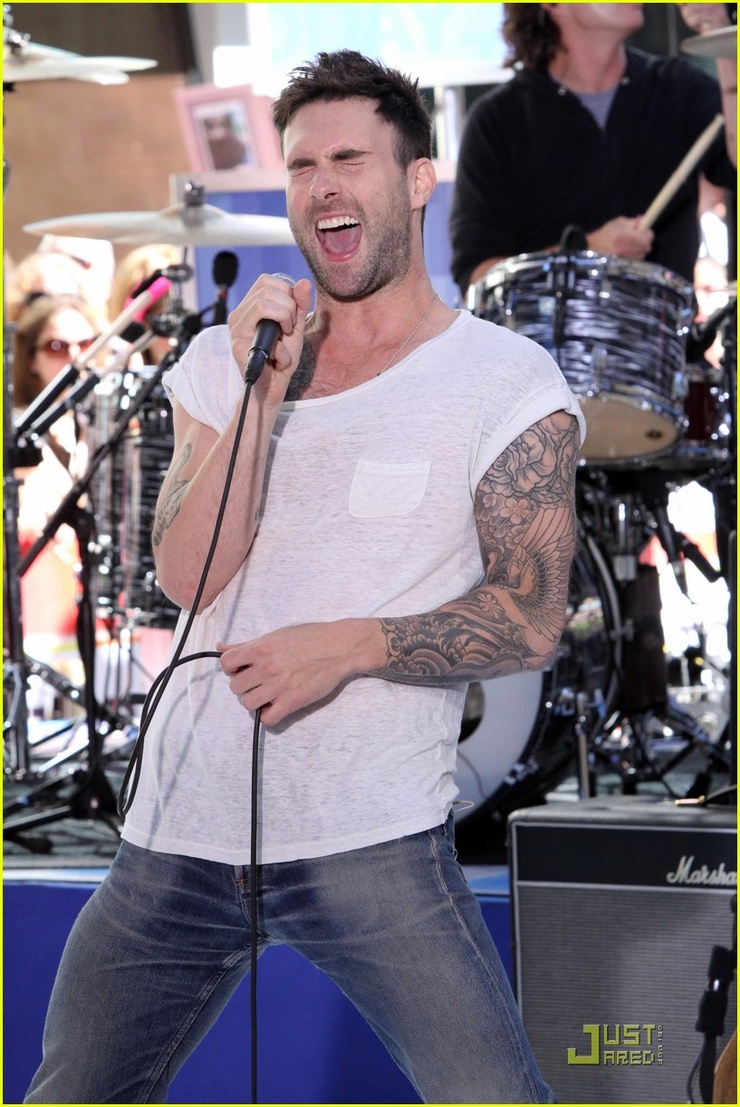 Adam Levine image