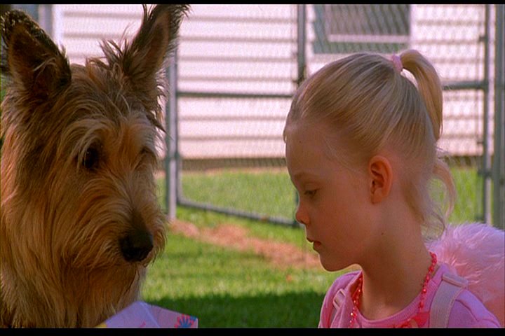 Picture of Because Of Winn-Dixie (2005)
