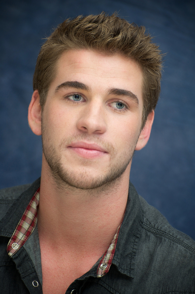 Picture of Liam Hemsworth