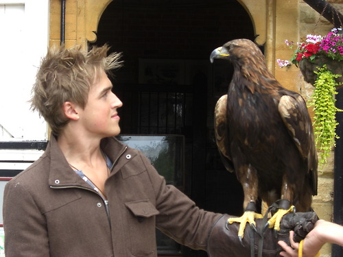 Tom Fletcher picture