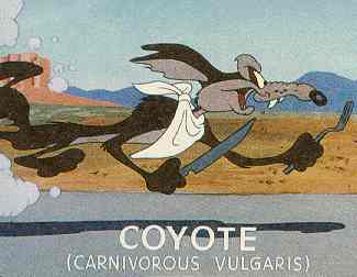 Picture of Fast and Furry-ous (1949)