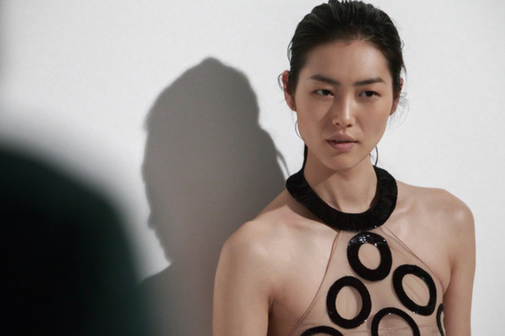 Picture of Liu Wen