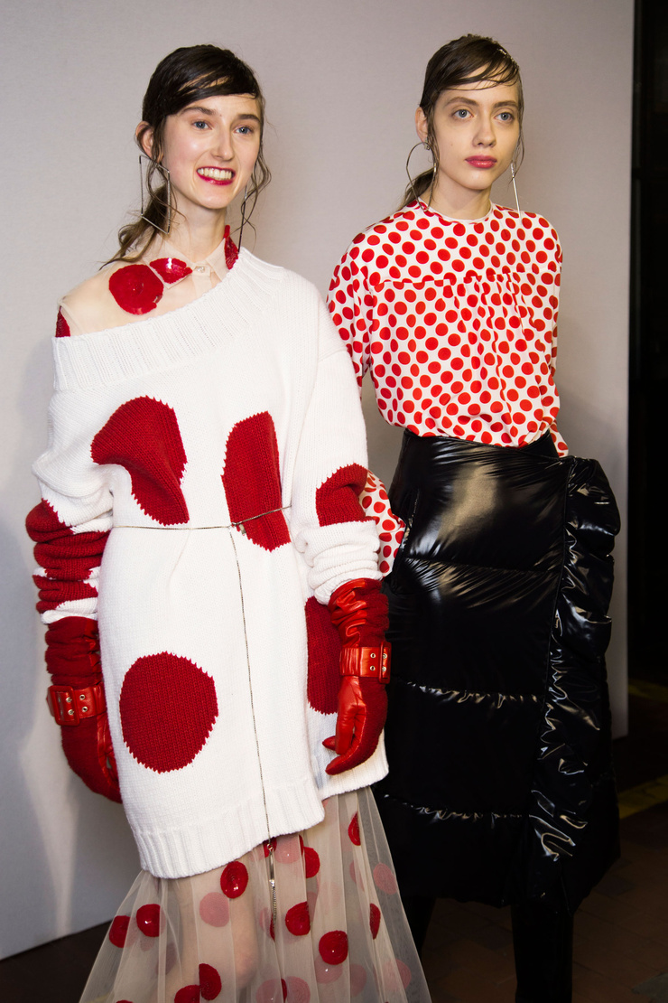 Klementyna Dmowska picture