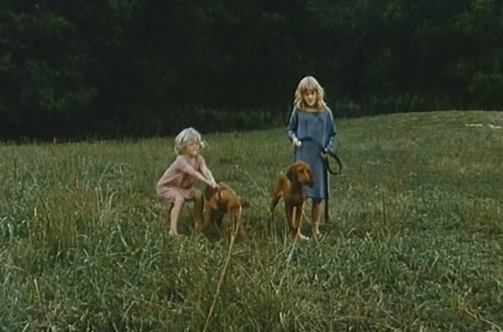 Picture of Where the Red Fern Grows (1974)