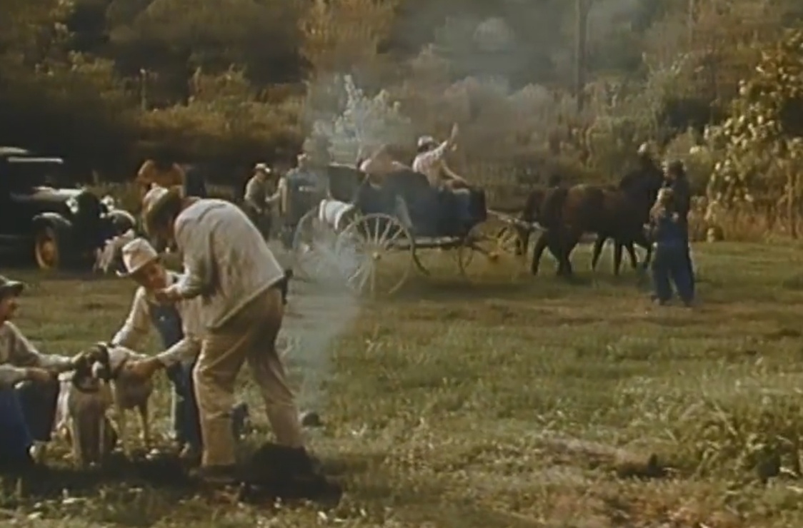 Picture of Where the Red Fern Grows (1974)