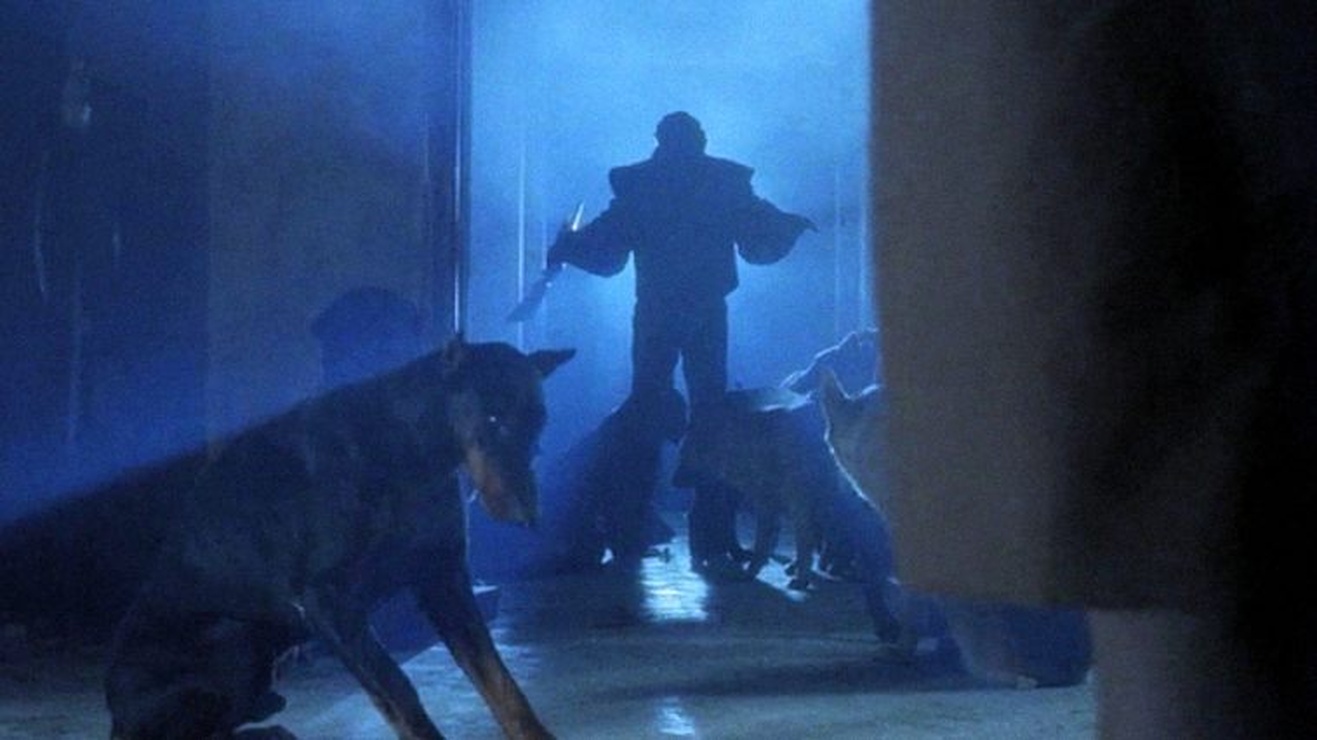 Picture of Monster Dog
