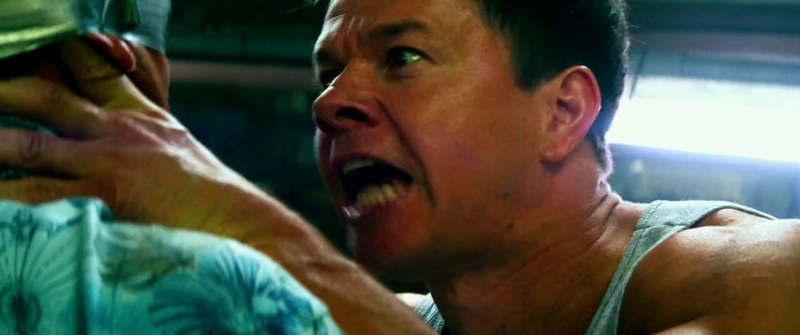 Picture of Pain & Gain